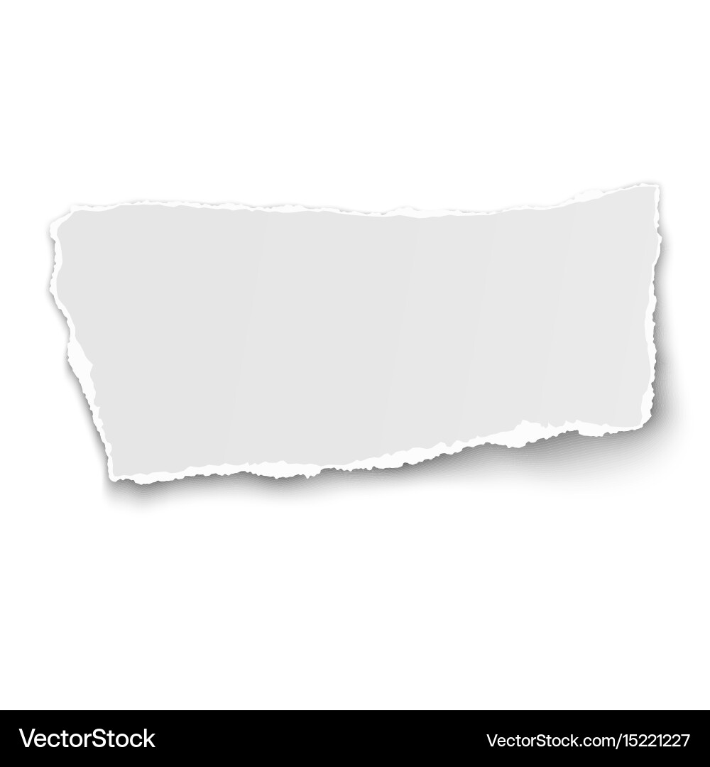 White paper tear isolated on white background Vector Image