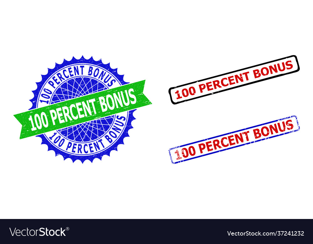 100 percent bonus rosette and rectangle bicolor Vector Image