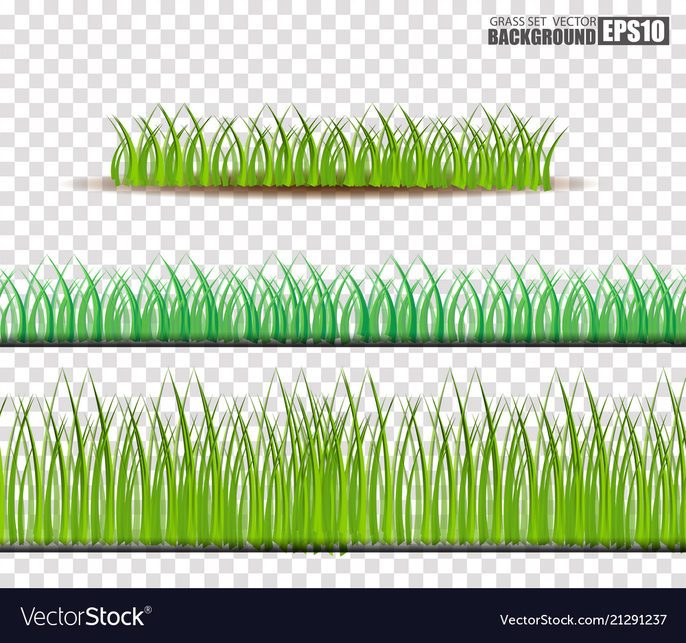 Grass set Royalty Free Vector Image - VectorStock
