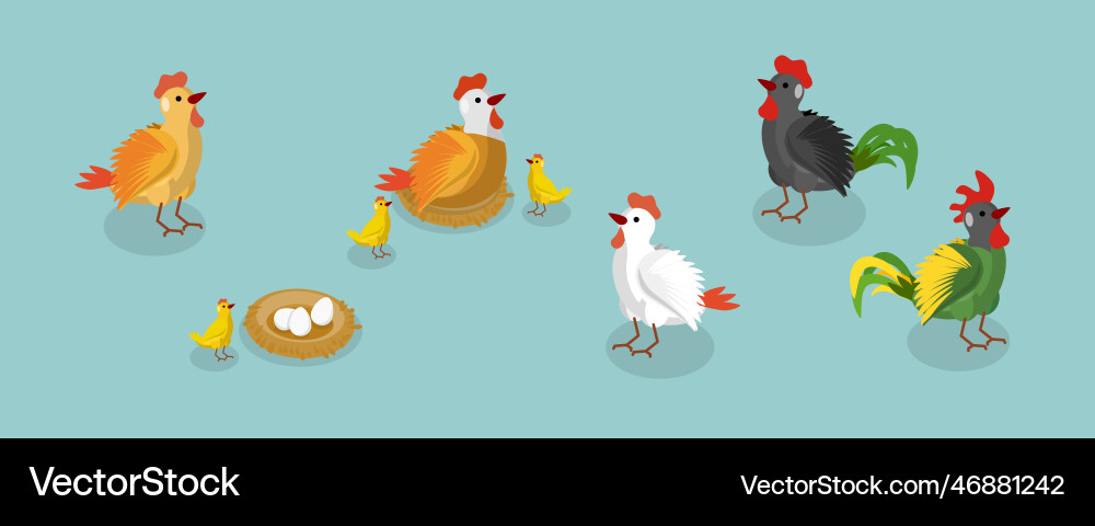 3d isometric flat set of chickens Royalty Free Vector Image