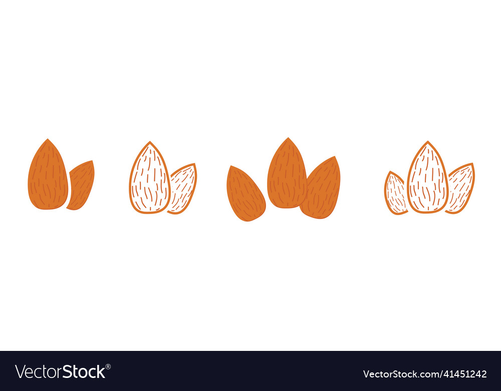 Almond Icon Set Royalty Free Vector Image Vectorstock