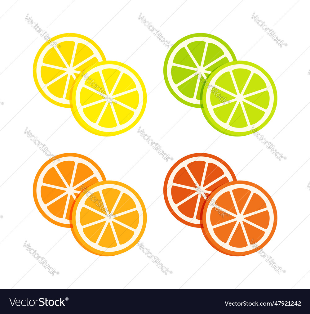Citrus lemon lime orange and grapefruit slices set