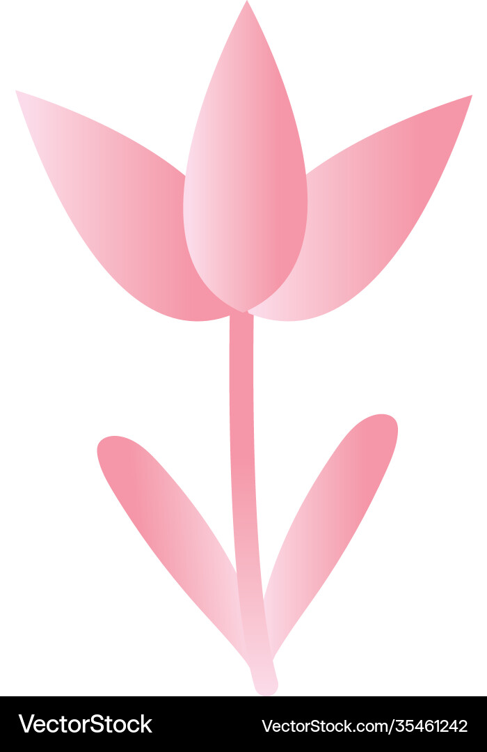 Flower with a light pink color Royalty Free Vector Image
