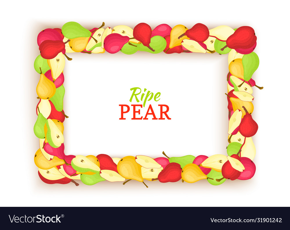 Horizontal rectangle colored frame composed Vector Image