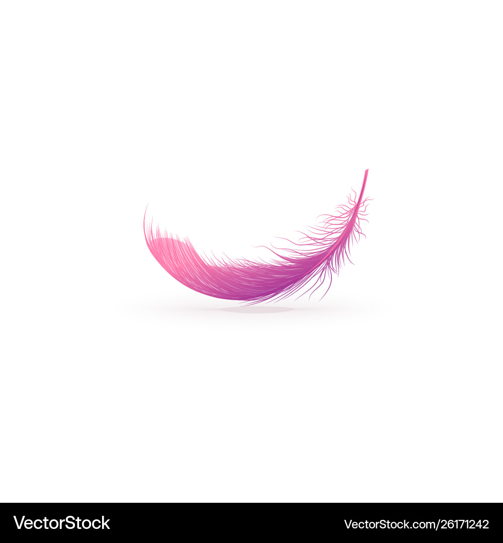 Pink fluffy feather floating in air isolated Vector Image