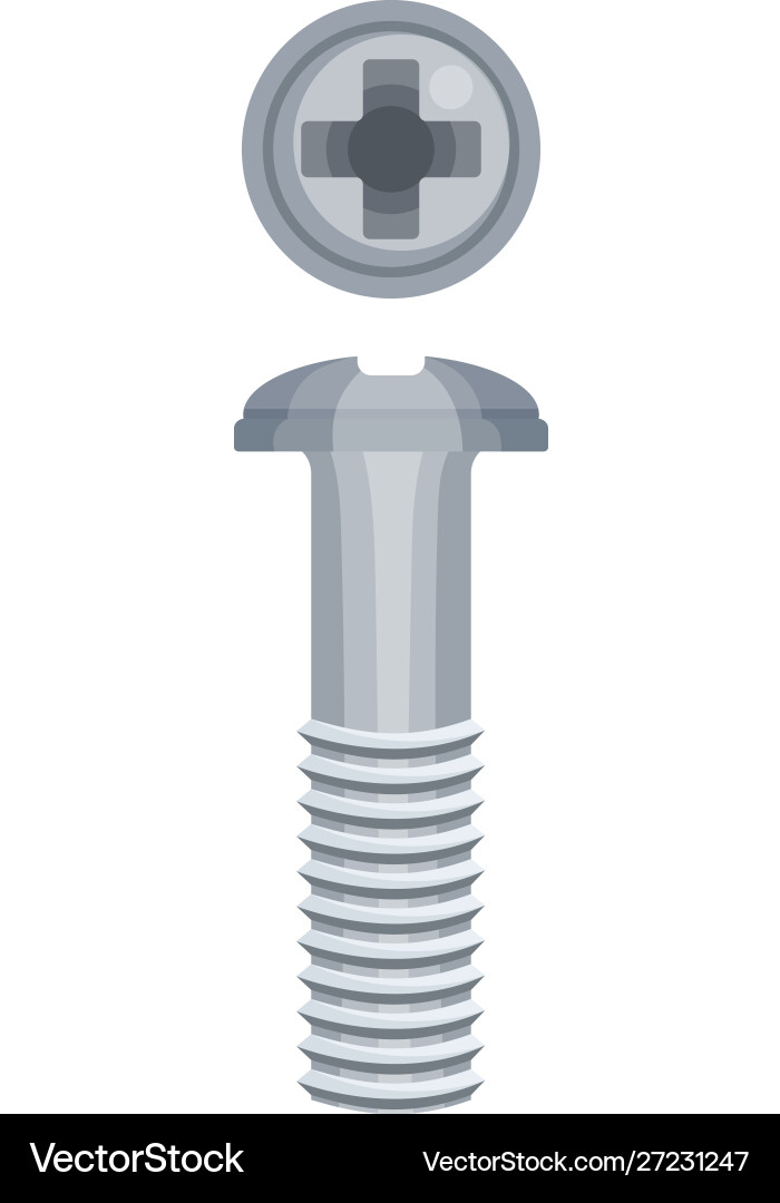 Gray bolt with a cross on hat side and top view Vector Image