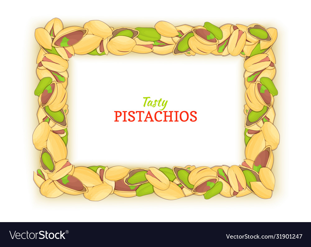 Vertical horizontal colored frame composed Vector Image