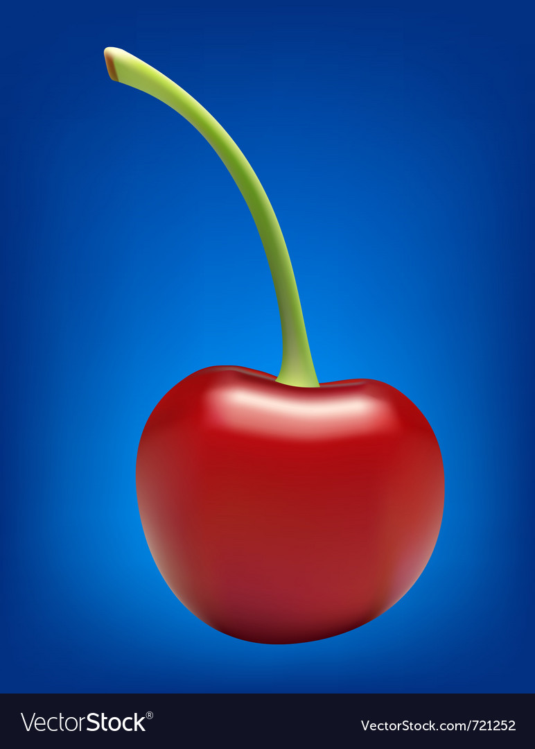 Cherry Royalty Free Vector Image - VectorStock