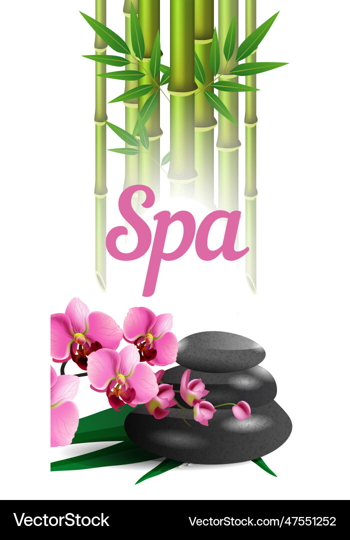 Spa lettering bamboo stones and orchid Royalty Free Vector