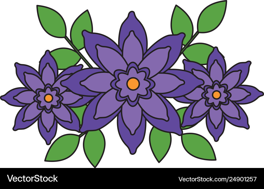 Arrangement floral flowers Royalty Free Vector Image