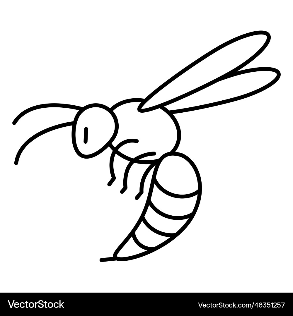 Bee flying line art Royalty Free Vector Image - VectorStock