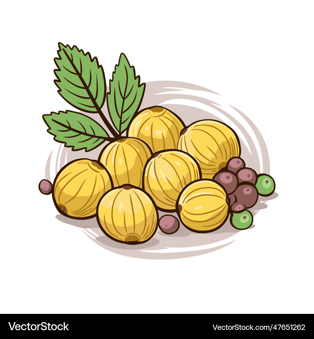 Amla hand-drawn doodle style cartoon Royalty Free Vector