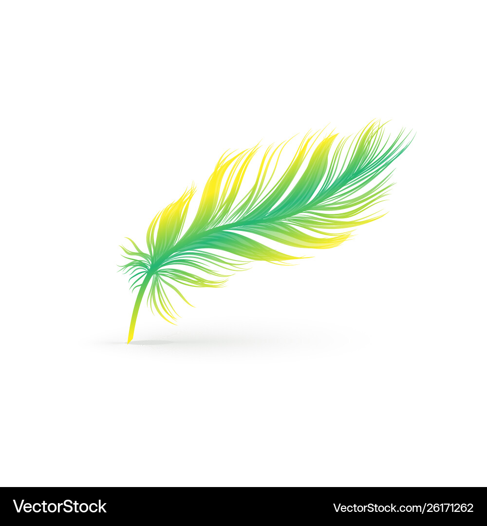 Light graceful colorful feather from a wing Vector Image