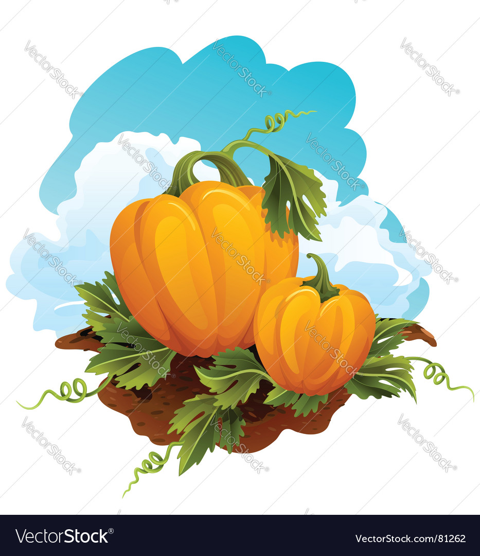 Pumpkins Royalty Free Vector Image - VectorStock