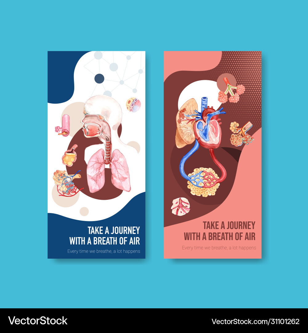 Respiratory flyer design with human anatomy Vector Image