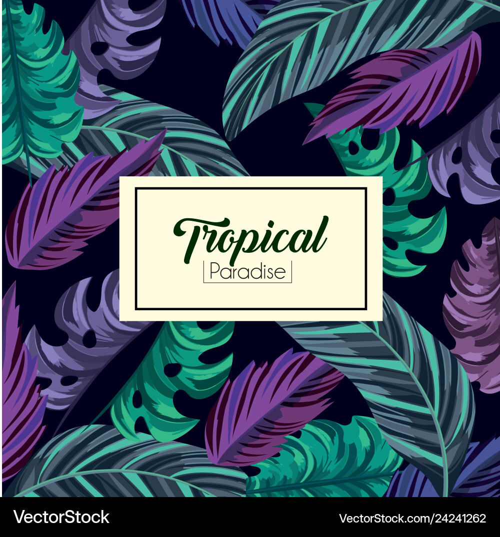 Tropical label and exotic leaves background Vector Image