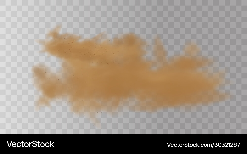 3d realistic dust cloud isolated on a transparent Vector Image