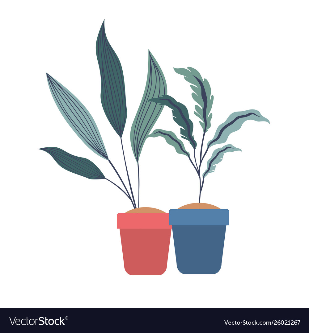 Houseplant With Potted Isolated Icon Royalty Free Vector