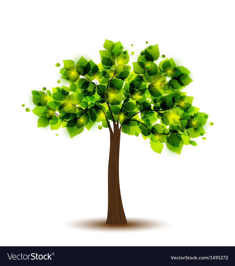 Tree Royalty Free Vector Image - VectorStock