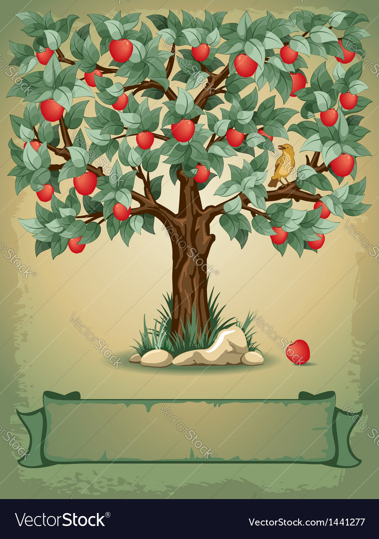 Apple tree Royalty Free Vector Image - VectorStock