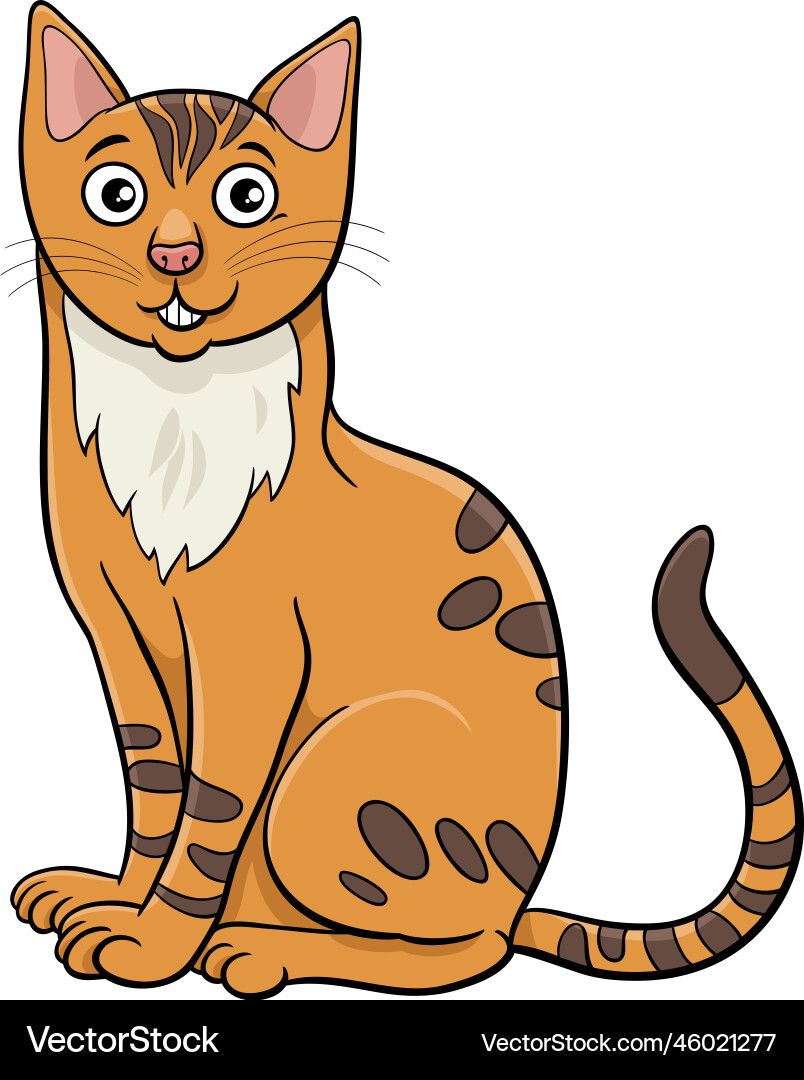 Funny cartoon cat comic animal character Vector Image