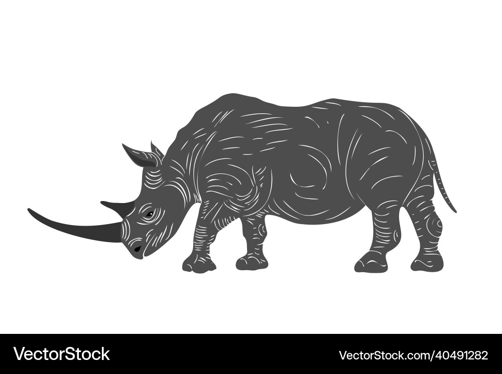 Realistic rhino stands isolated on a white Vector Image