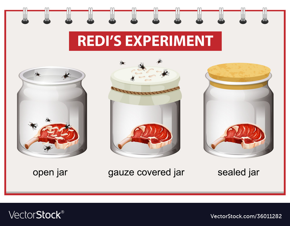 Redis experiment diagram for education Royalty Free Vector