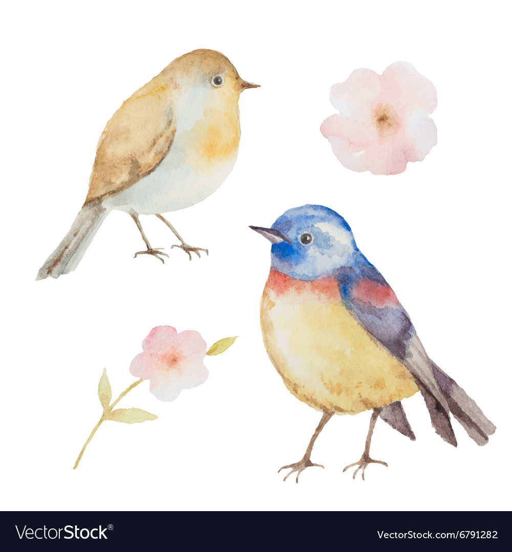 Set watercolor birds and flowers Royalty Free Vector Image