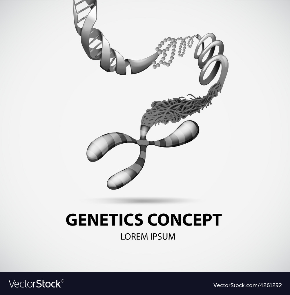 Genetics concept Royalty Free Vector Image - VectorStock