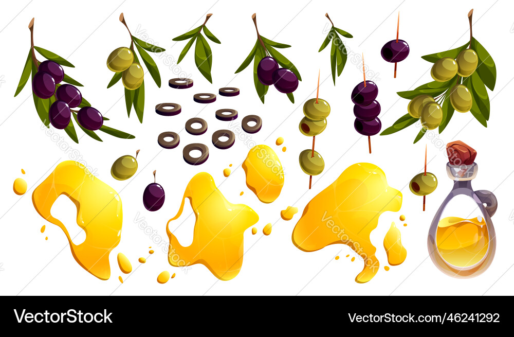 Isolated olive tree branch set with oil bottle Vector Image