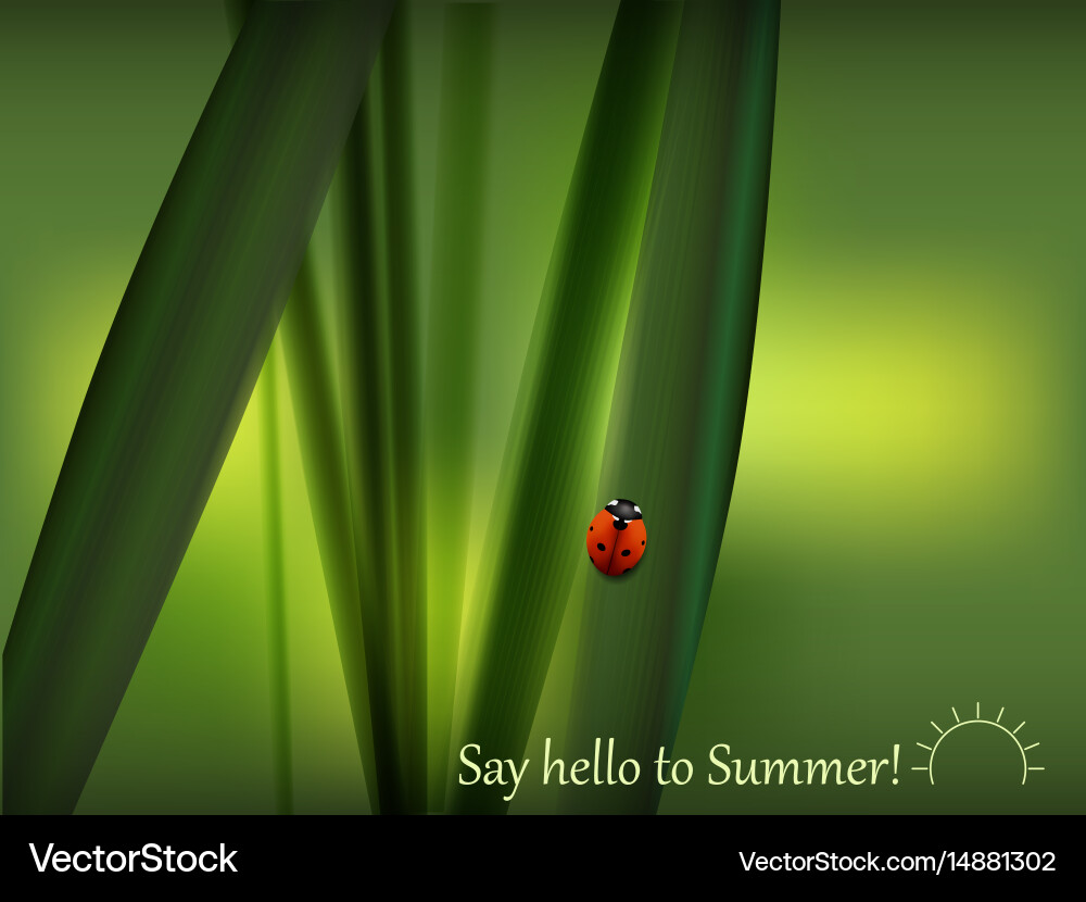 Fresh green grass and lovely red ladybug summer Vector Image