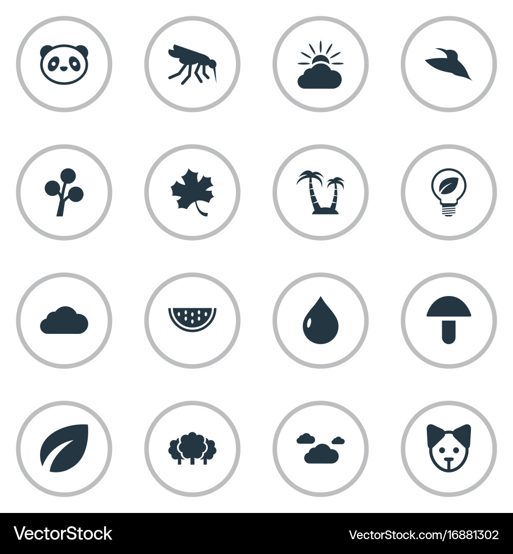 Set of simple bio icons Royalty Free Vector Image