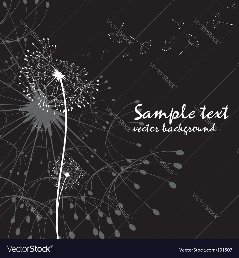 Abstract dandelion Royalty Free Vector Image - VectorStock Abstract dandelion Royalty Free Vector Image - VectorStock