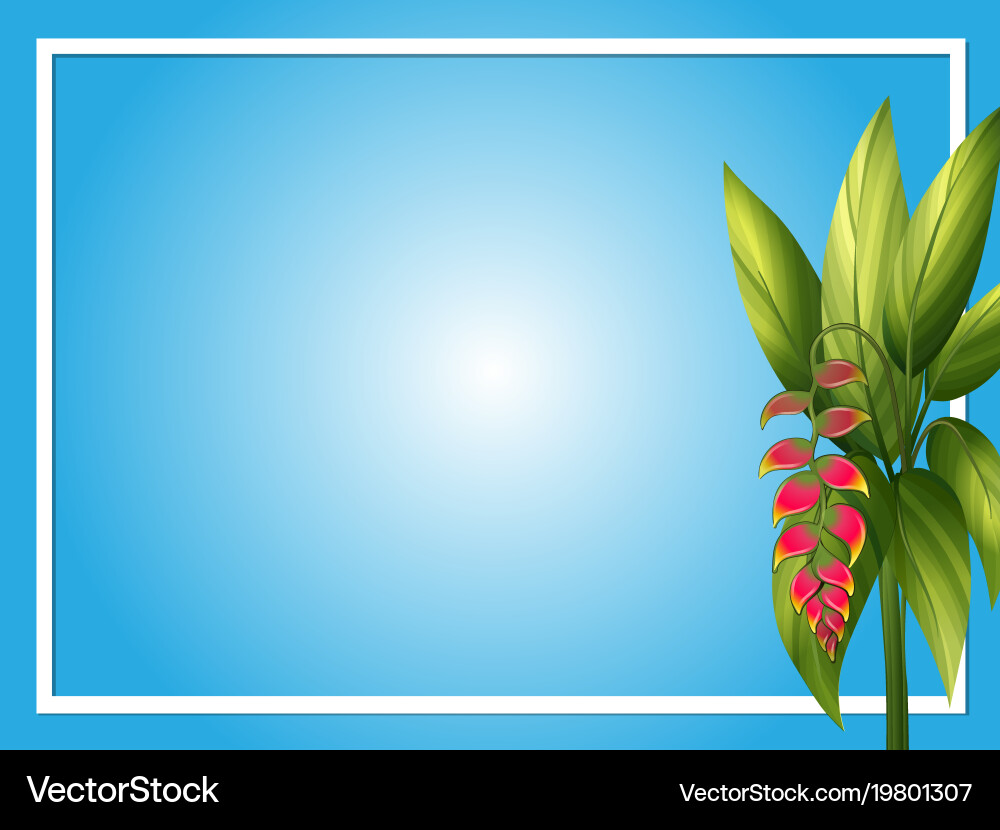 Border template with bird paradise Royalty Free Vector Image