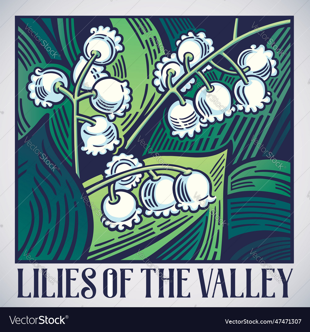 Flowers lilies of the valley in graphic style Vector Image