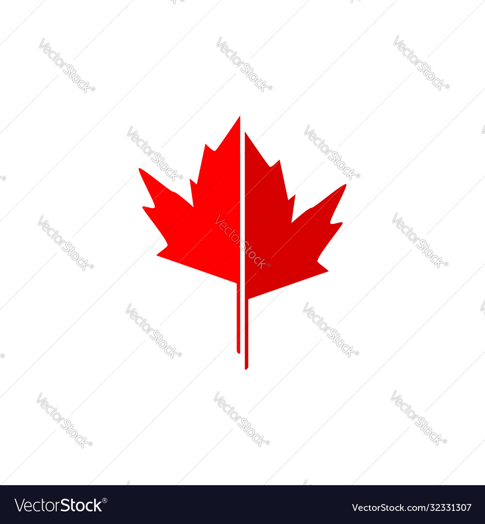 Leaf maple design template Royalty Free Vector Image