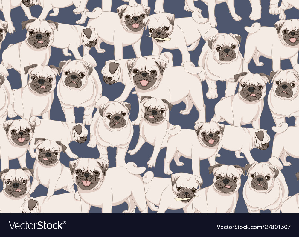 Seamless pattern background with pug dogs colored Vector Image