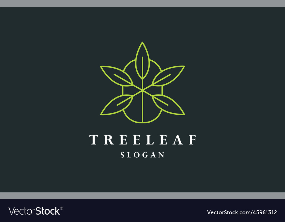 Tree leaf Royalty Free Vector Image - VectorStock