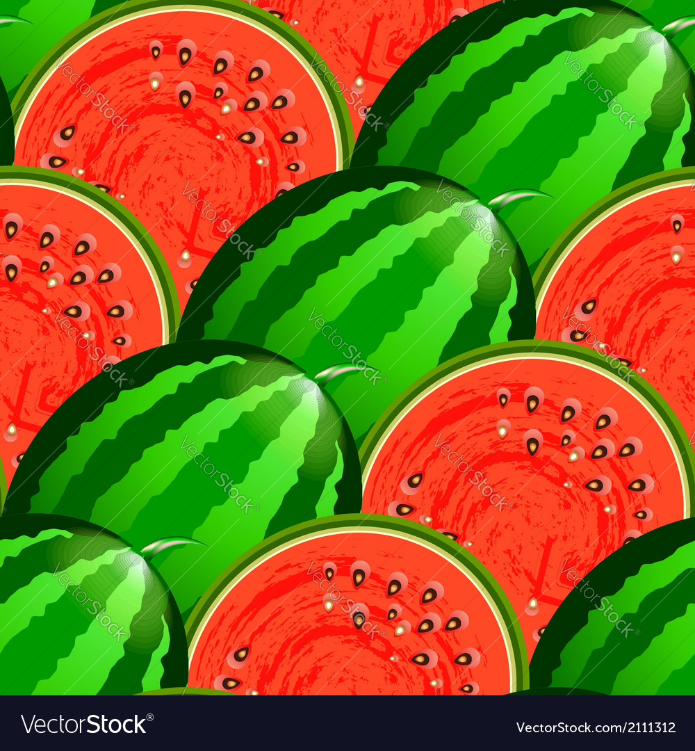 Watermelon fruit Royalty Free Vector Image - VectorStock