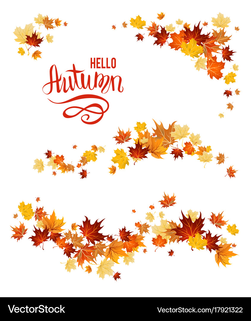 Autumn set of maple leaves Royalty Free Vector Image