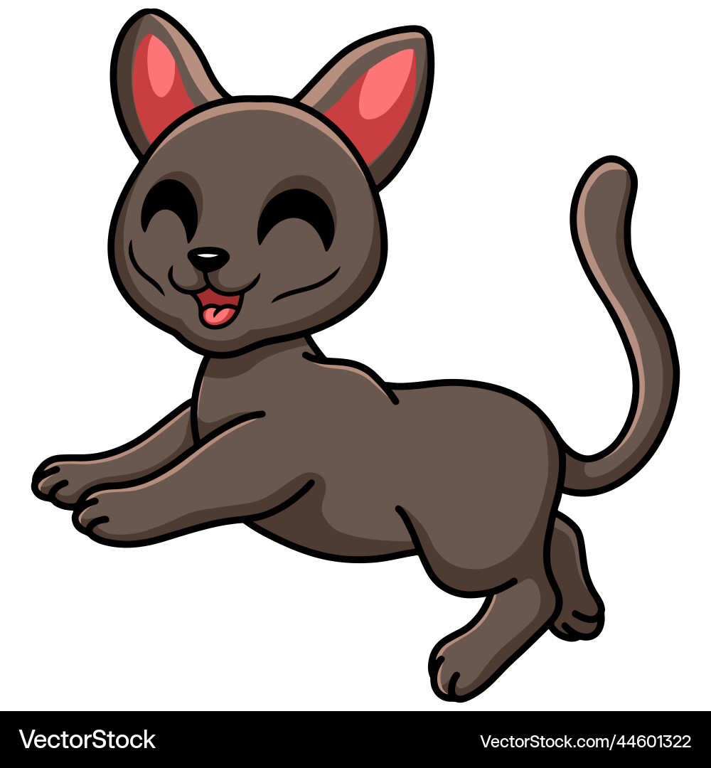Cute korat cat cartoon walking Royalty Free Vector Image
