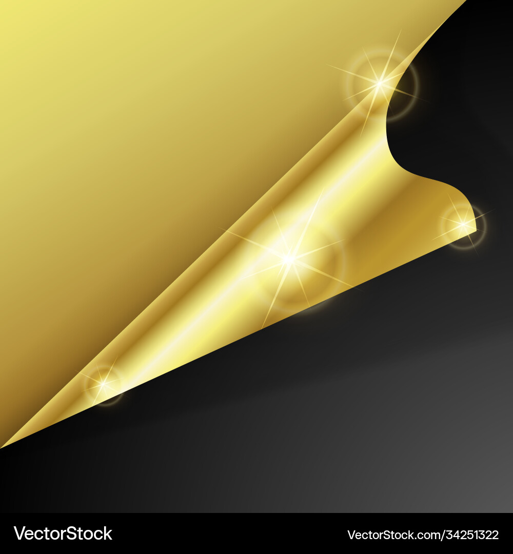 Gold curved corner paper blank design template Vector Image