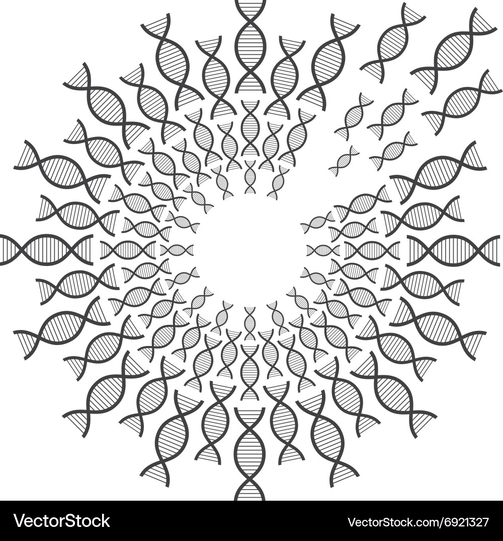 Circle of dna spiral design template Royalty Free Vector