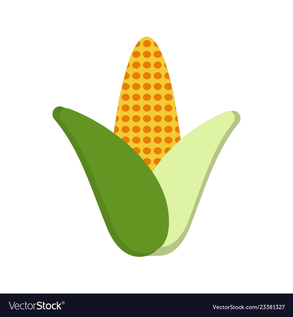 Corn icon Royalty Free Vector Image - VectorStock