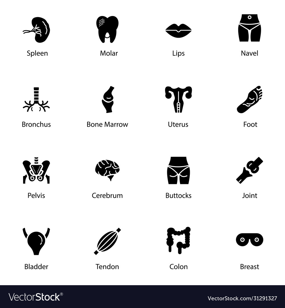 Human body solid icons pack Royalty Free Vector Image