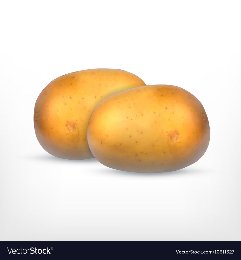 Potato Royalty Free Vector Image - VectorStock Potato Royalty Free Vector Image - VectorStock