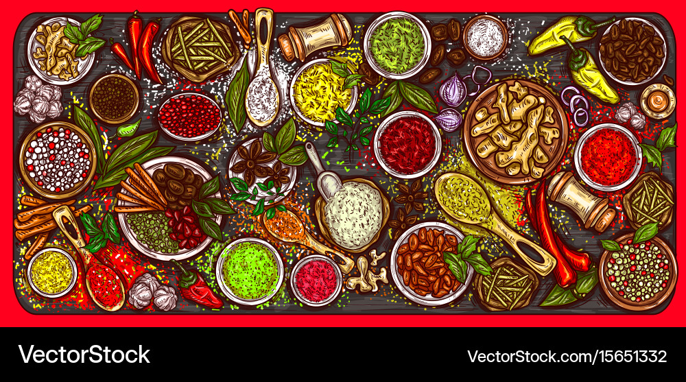 A variety of spices Royalty Free Vector Image - VectorStock