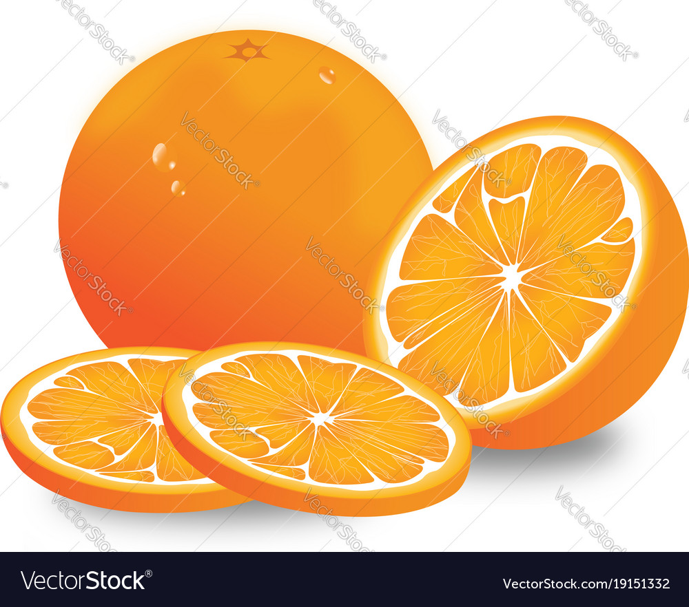 Orange Royalty Free Vector Image - VectorStock