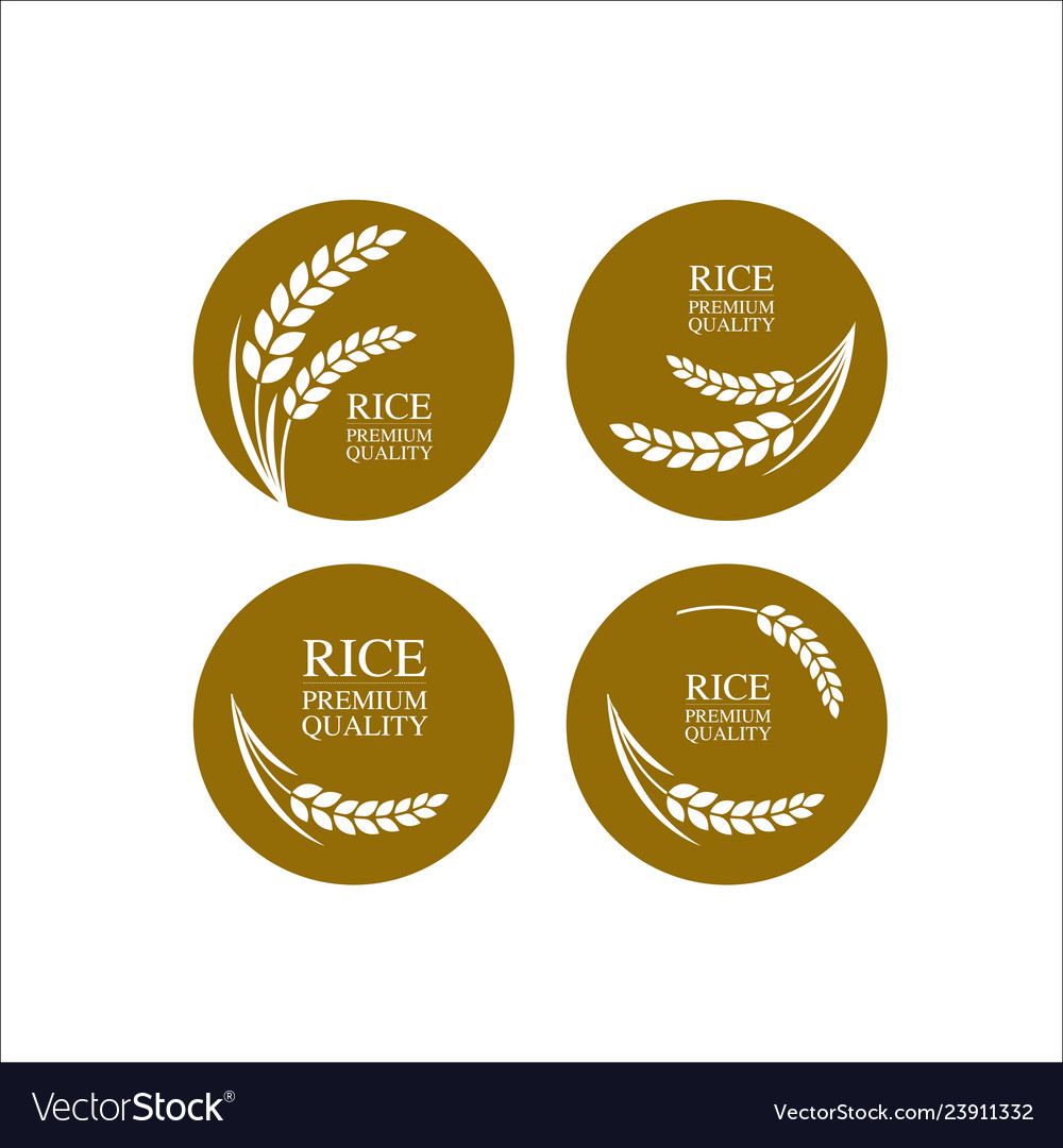 Premium rice great quality design concept Vector Image