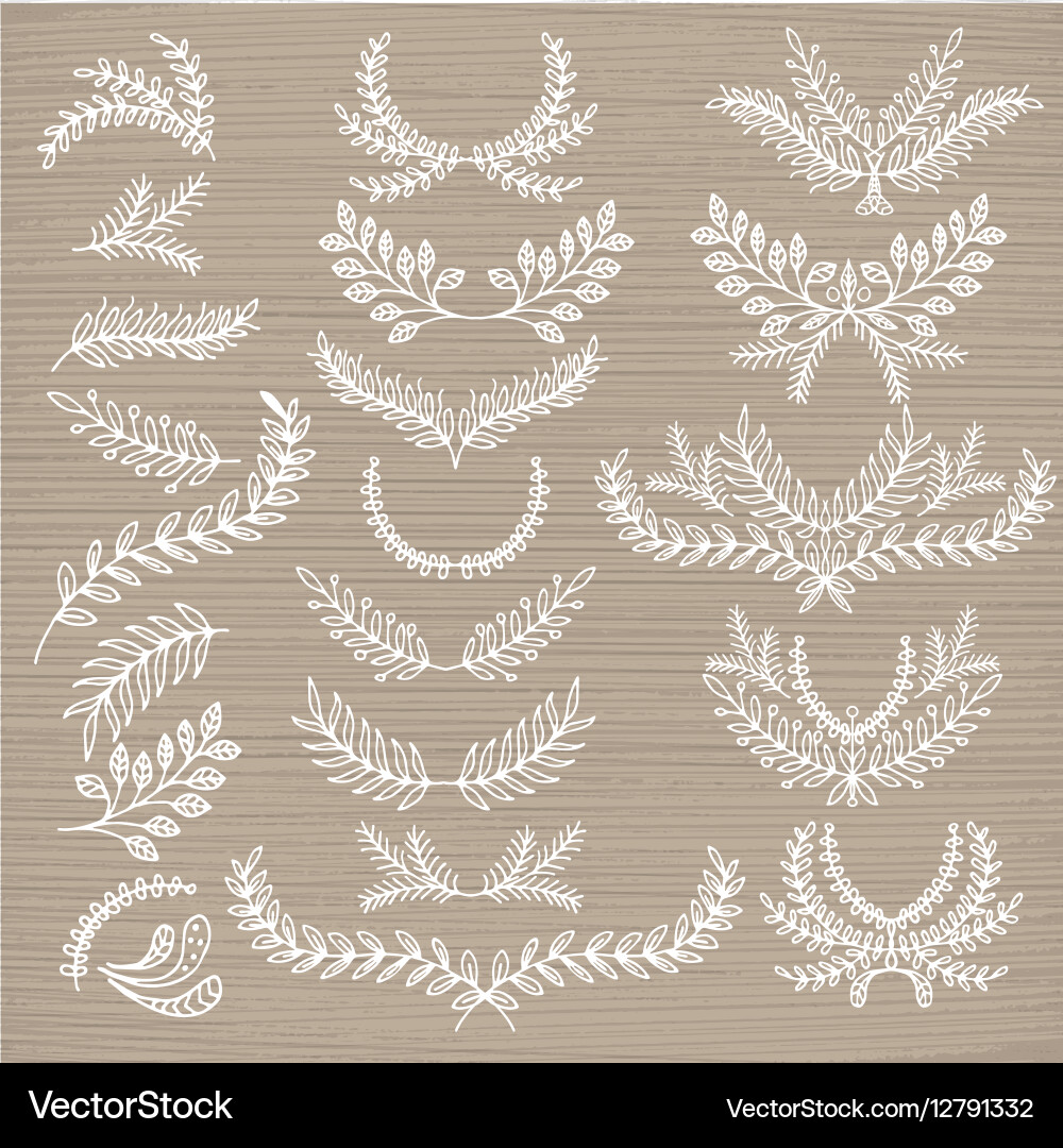 Set hand-painted twigs Royalty Free Vector Image